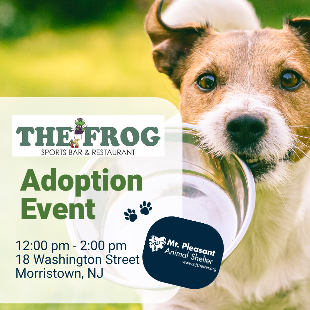Adoption Event at The Famished Frog - Mt. Pleasant Animal Shelter