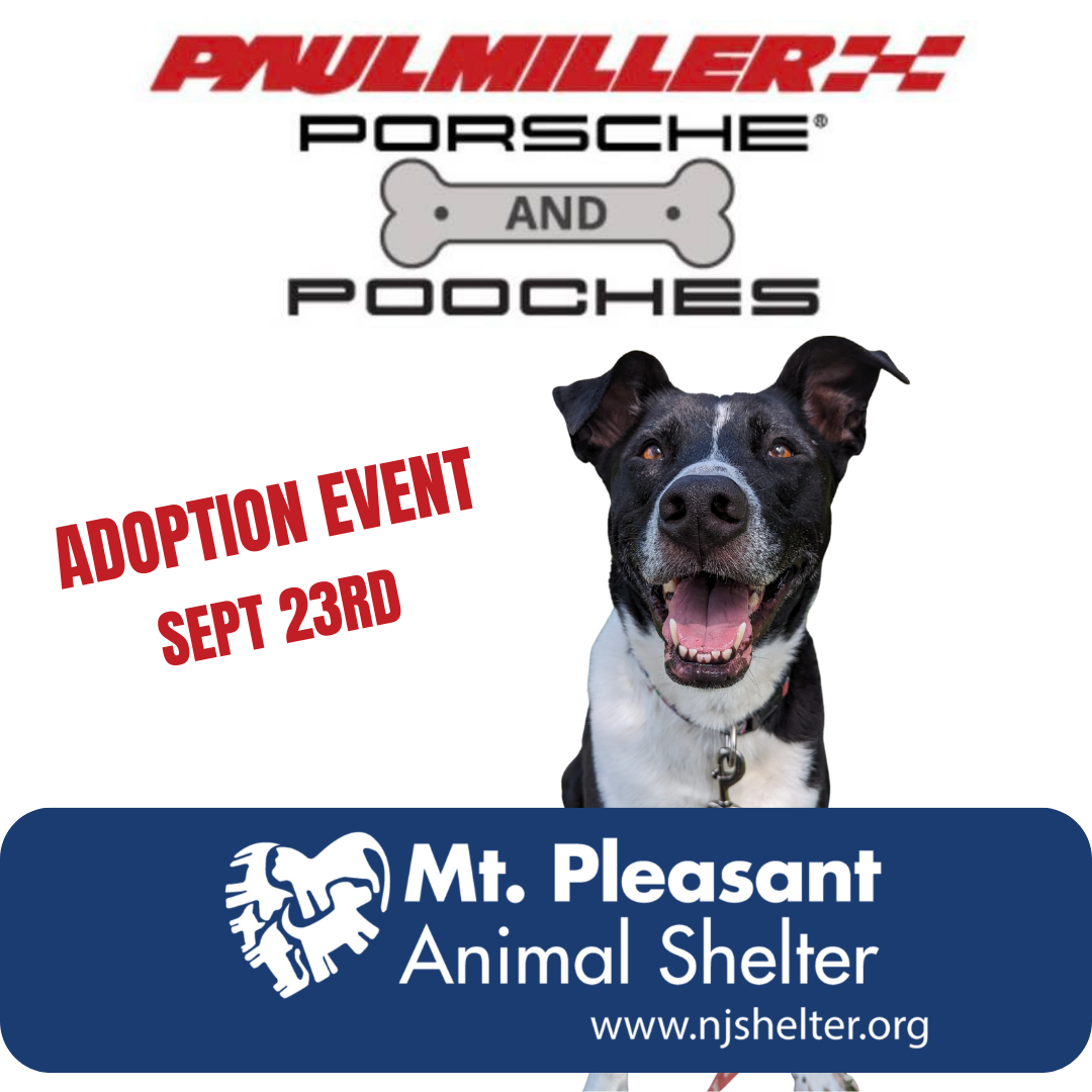 Porsches and Pooches - hosted by Paul Miller Porsche - Mt. Pleasant ...