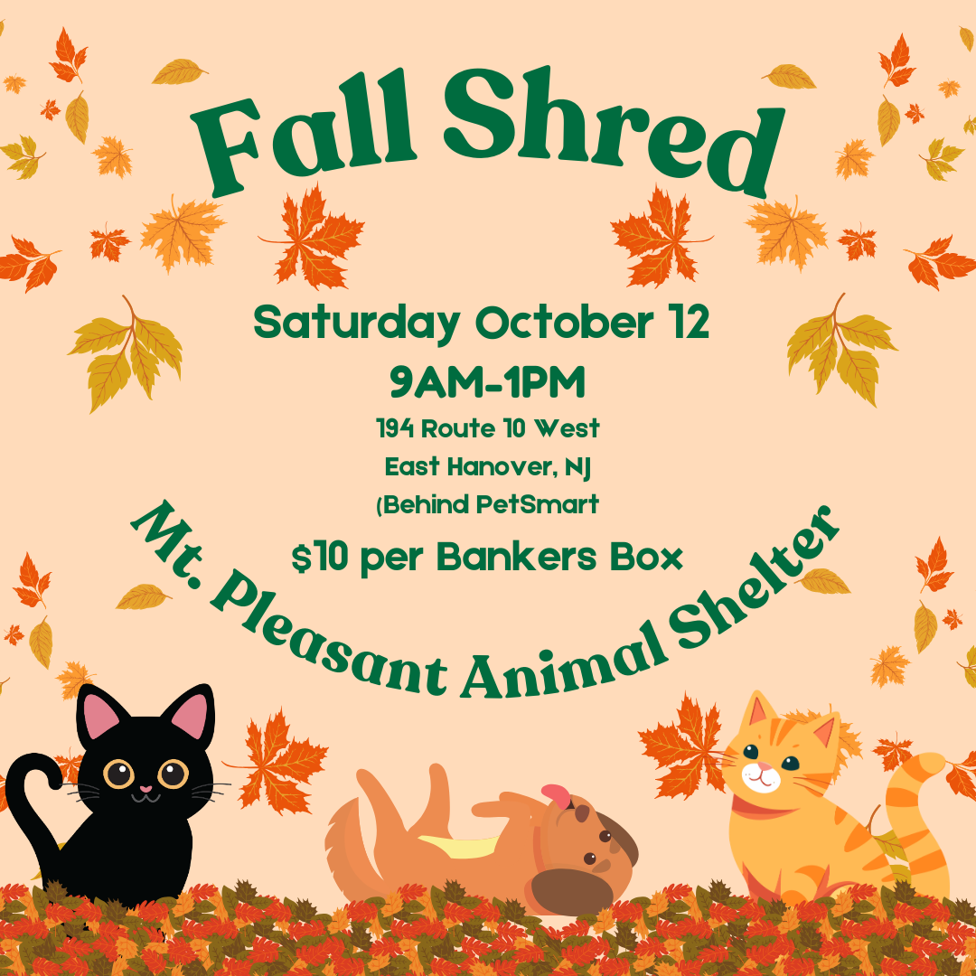 Fall Shred - Mt. Pleasant Animal Shelter