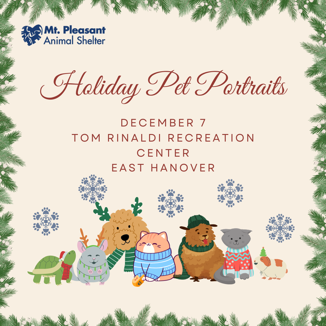 Holiday Pet Portraits - Mt. Pleasant Animal Shelter