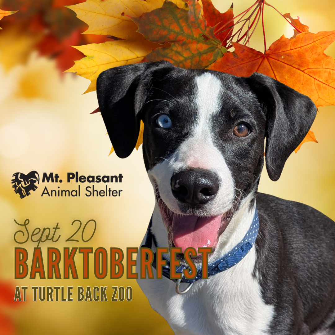 Barktoberfest at Turtle Back Zoo - Mt. Pleasant Animal Shelter