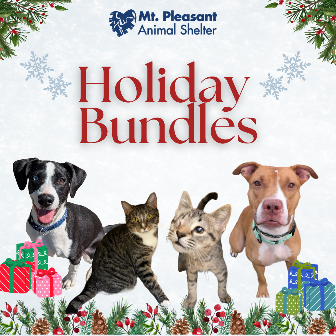 Holiday Bundles for Shelter Pets - Mt. Pleasant Animal Shelter